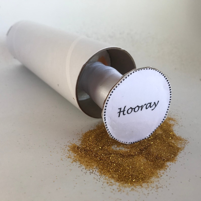 Glitter Bomb Spring Loaded Glitter Cannon Prank Confetti Cannon - Etsy