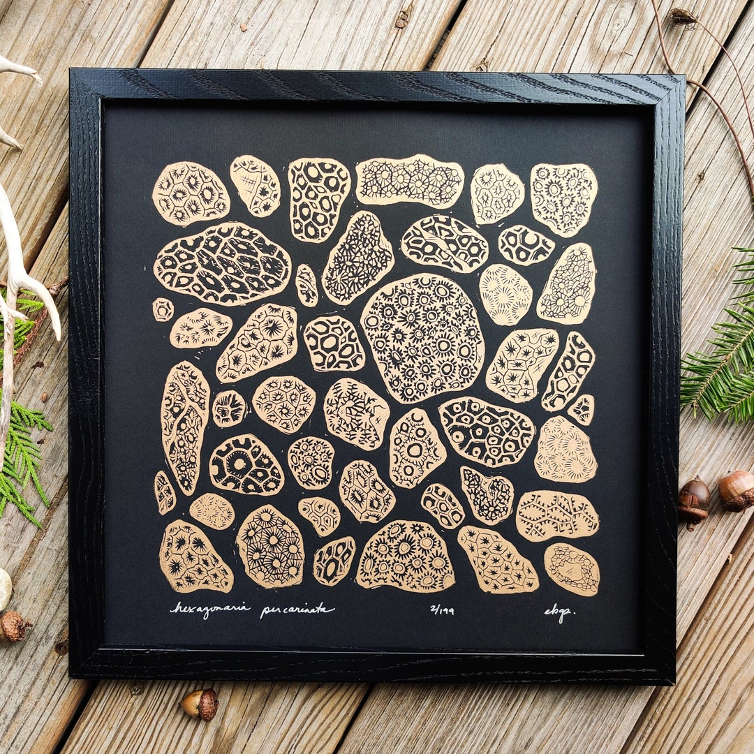 PETOSKEY STONES | Lino, Linocut, Linoprint, Blockprint, Black Ink ...