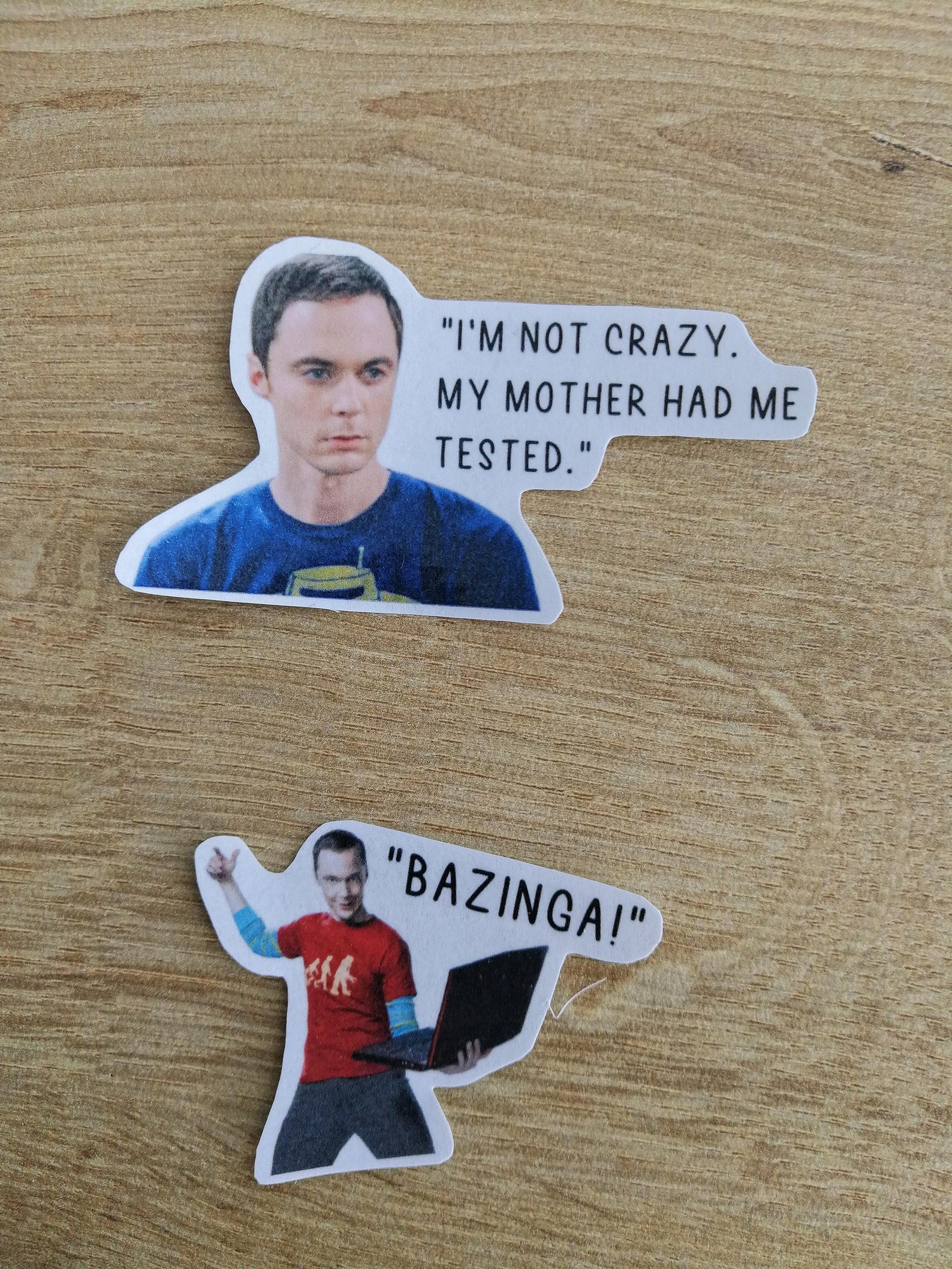 The Big Bang Theory stickers Sheldon Cooper Penny Amy | Etsy