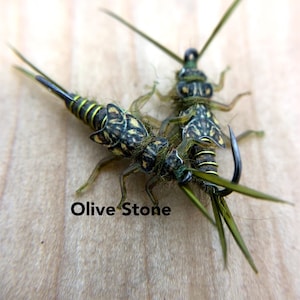 Realistic Style Stonefly Nymphs - Etsy