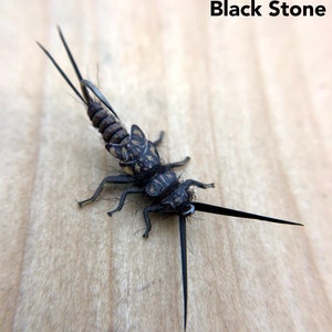Realistic Style Stonefly Nymphs - Etsy