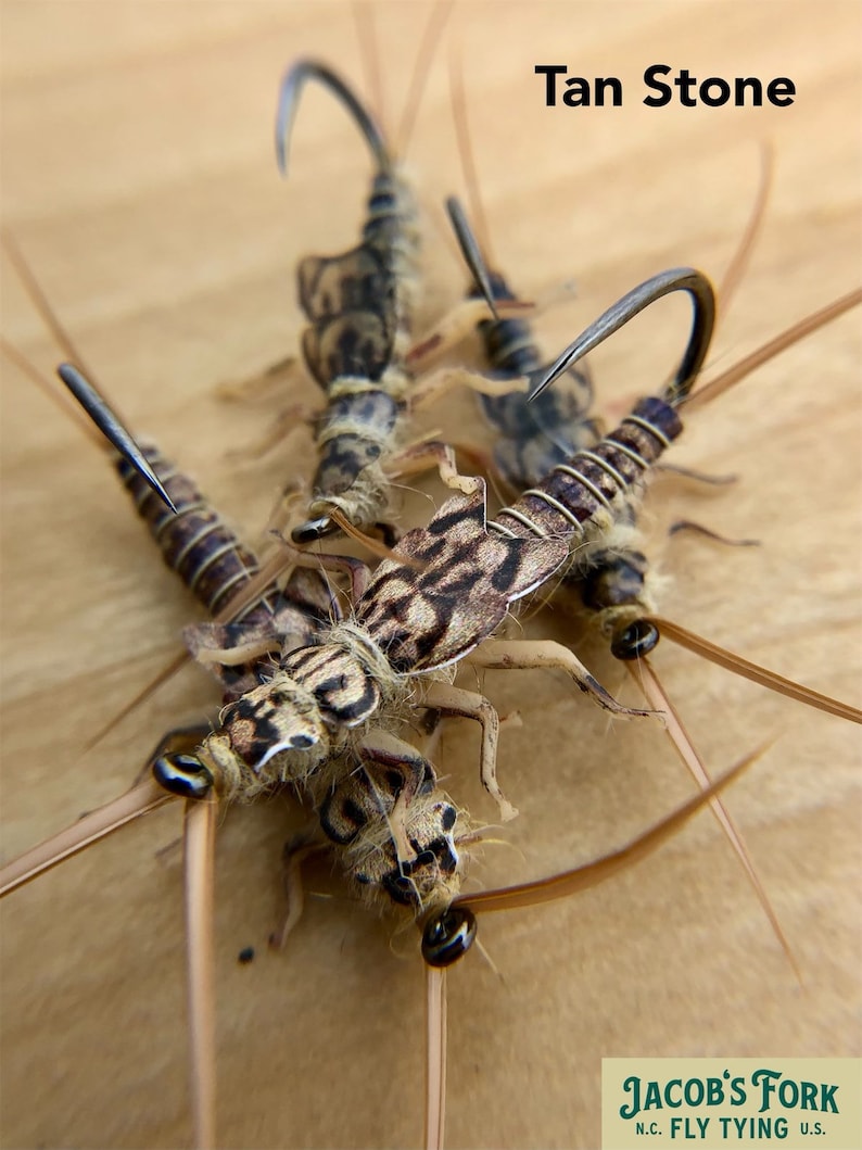 Realistic Style Stonefly Nymphs - Etsy
