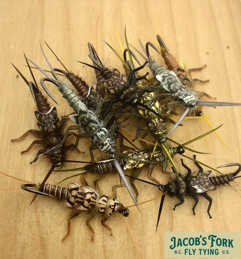 Realistic Style Stonefly Nymphs - Etsy