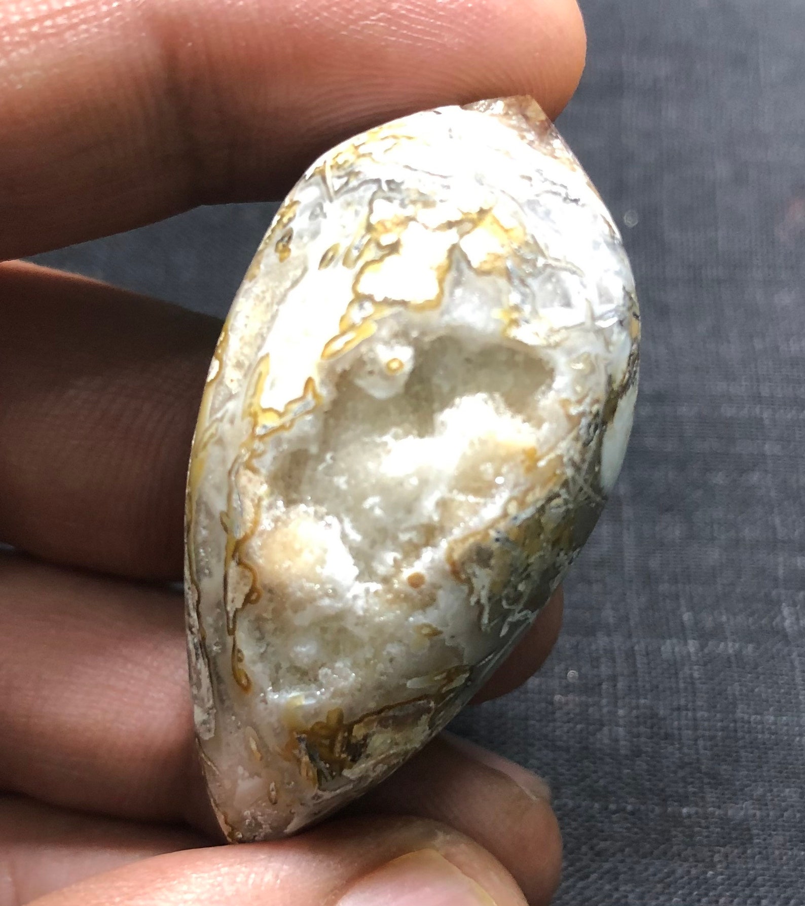 Spiralite Agatized Shell Druzy Shell Rare Crystalized Shell | Etsy