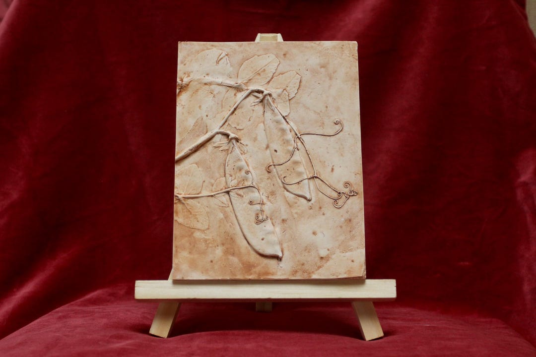 Mangetout Bas Relief, Botanical Bas Relief, Plaster Cast, Nature ...