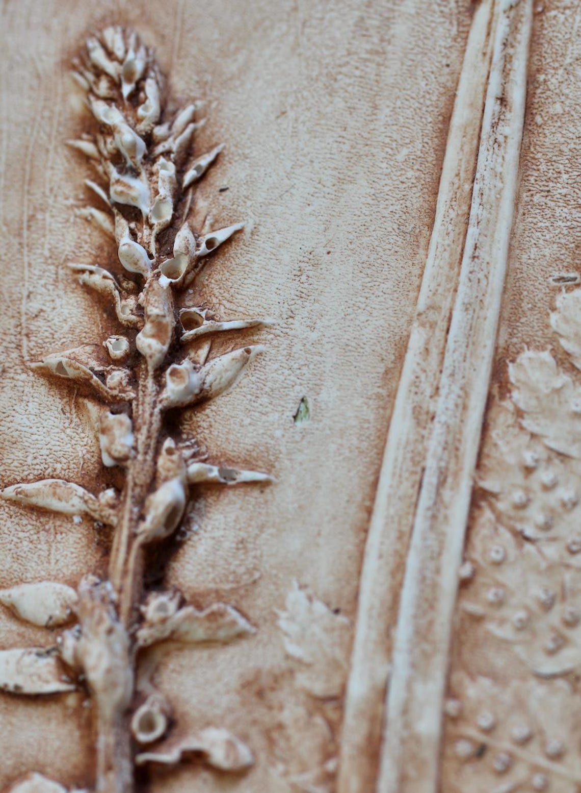 Bluebell Bas Relief, Botanical Bas Relief, Plaster Cast, Nature ...