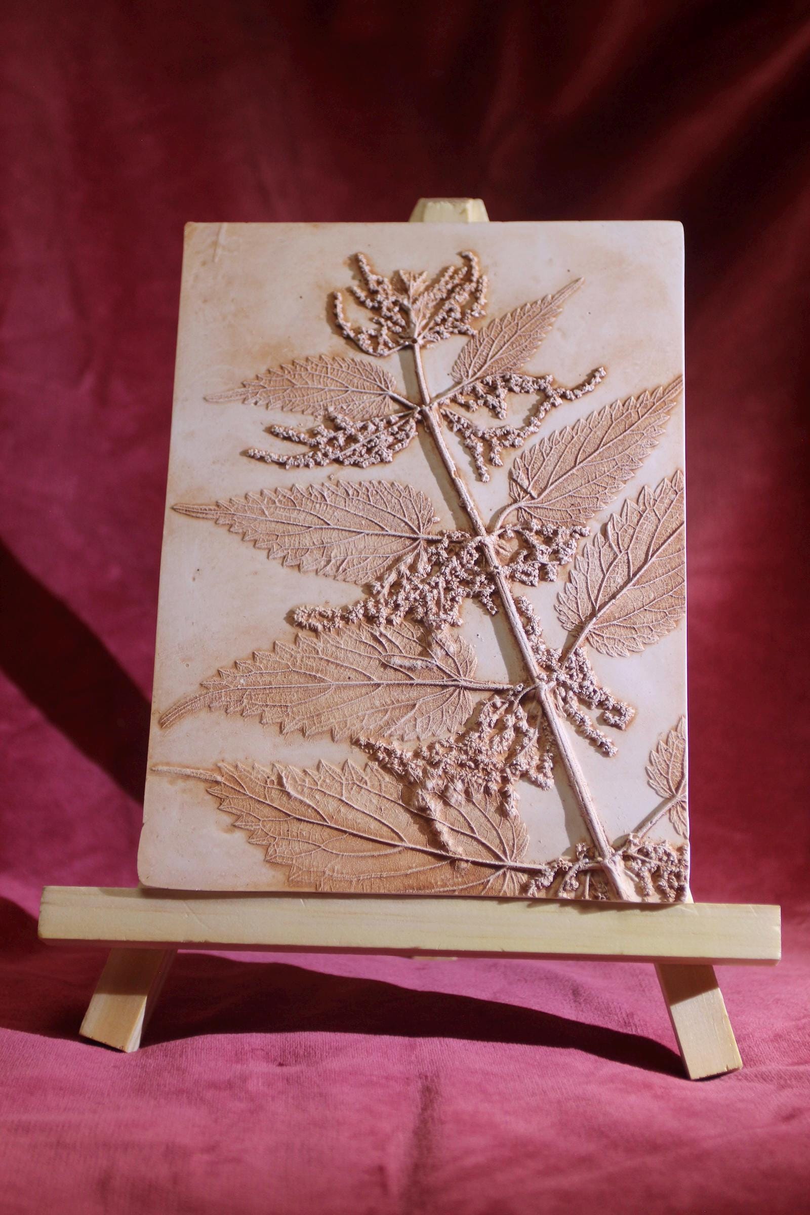 Nettle Bas Relief, Botanical Bas Relief, Plaster Cast, Nature Inspired ...