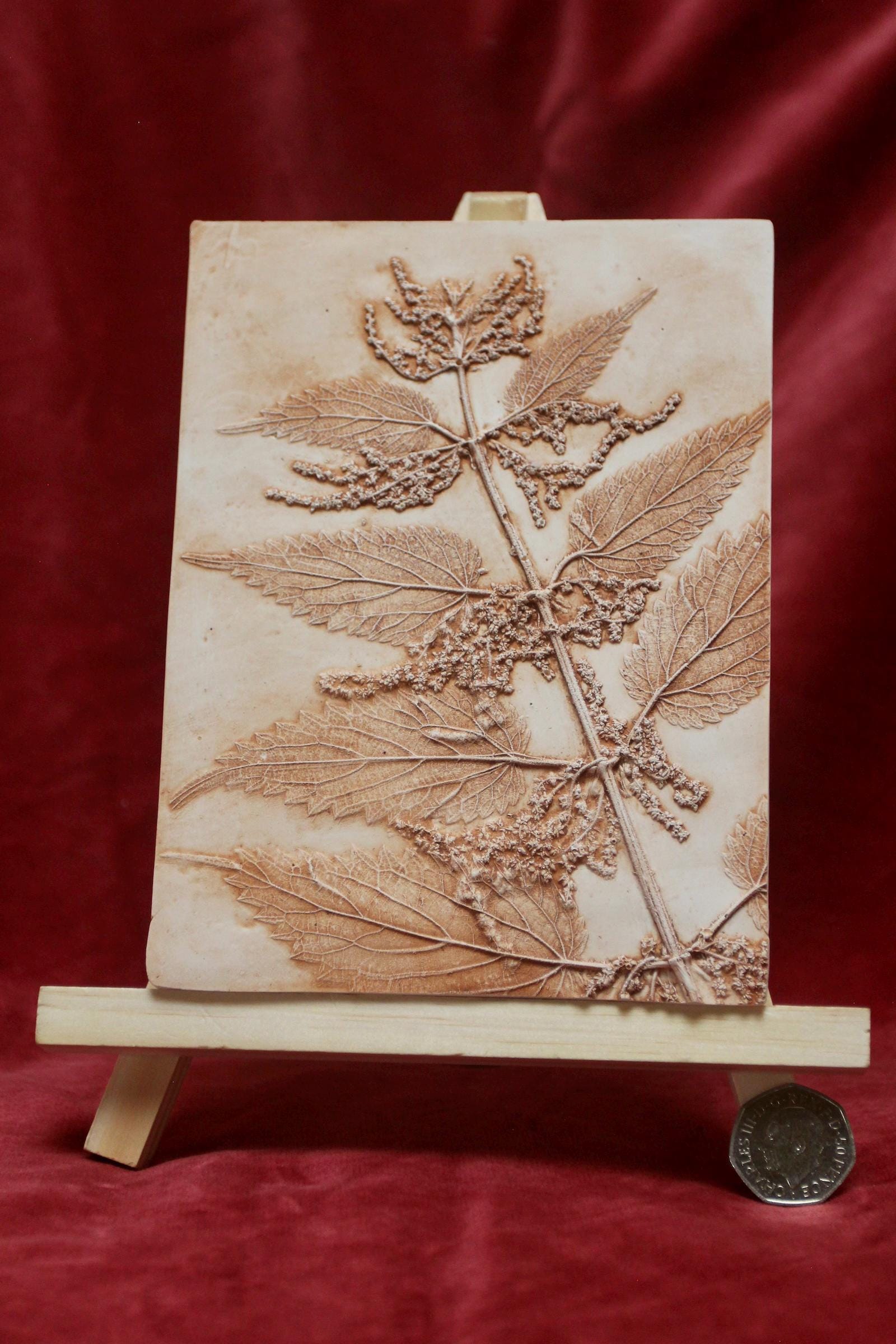 Nettle Bas Relief, Botanical Bas Relief, Plaster Cast, Nature Inspired ...