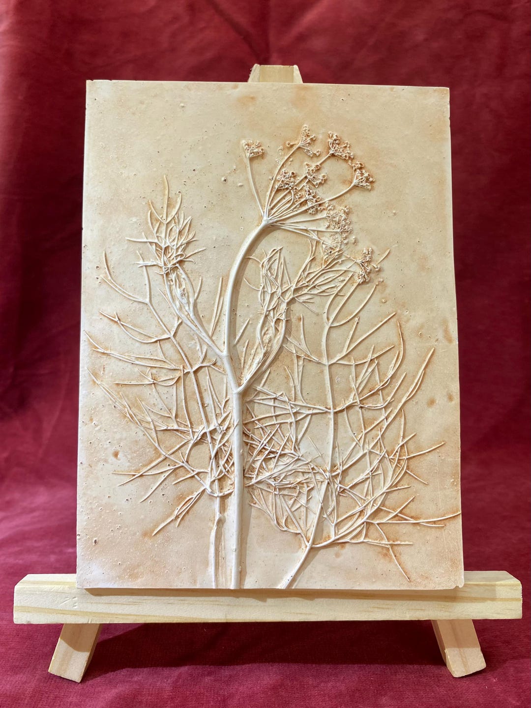 Fennel Bas Relief, Botanical Bas Relief, Plaster Cast, Nature Inspired ...
