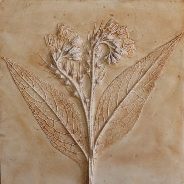 Botanical Bas Relief - Etsy