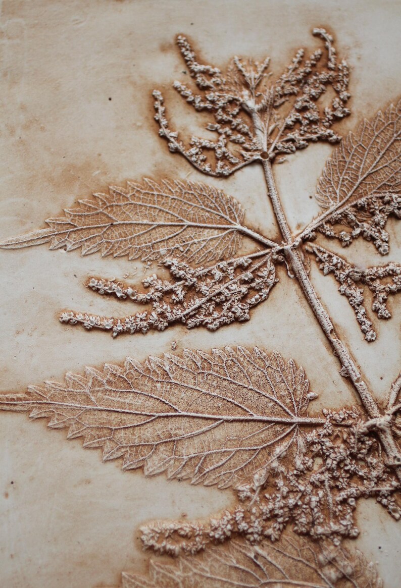 Nettle Bas Relief, Botanical Bas Relief, Plaster Cast, Nature Inspired ...