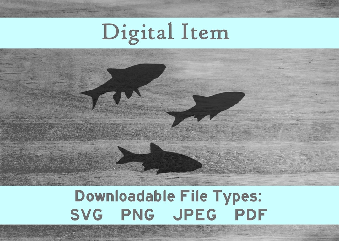 Minnow Fish Svg Png Jpeg Pdf Digital File Download -NOT a Physical Item ...
