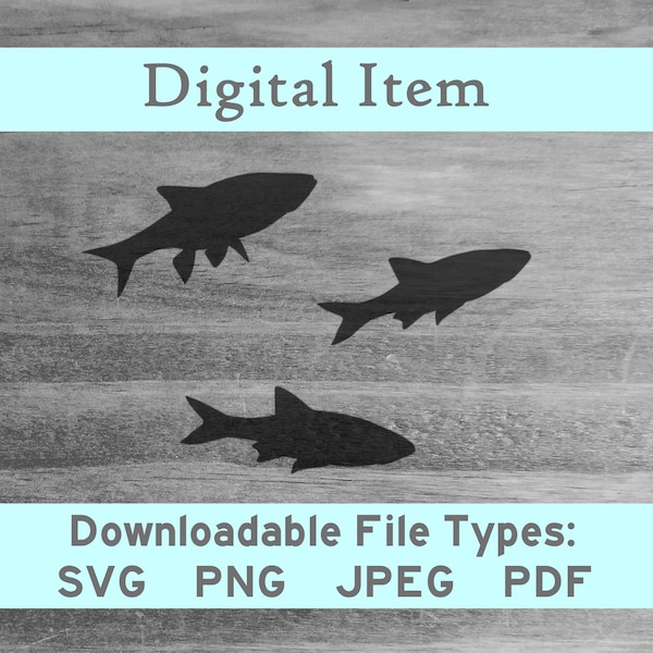 Minnow Bucket - Etsy