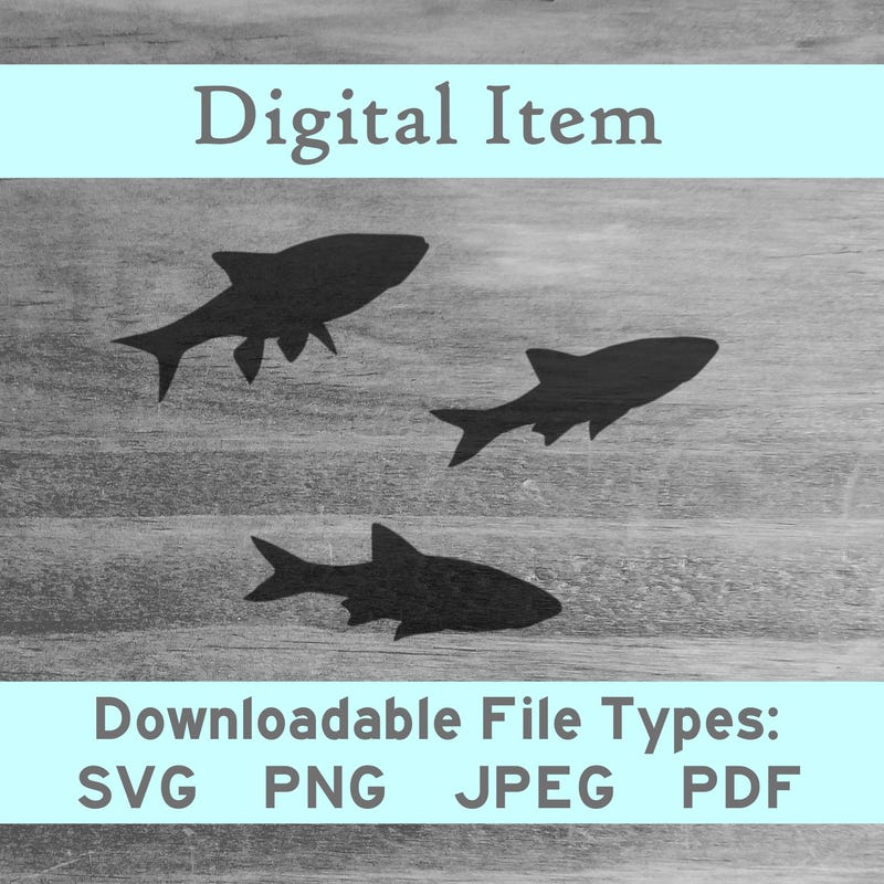 Minnow Bucket - Etsy