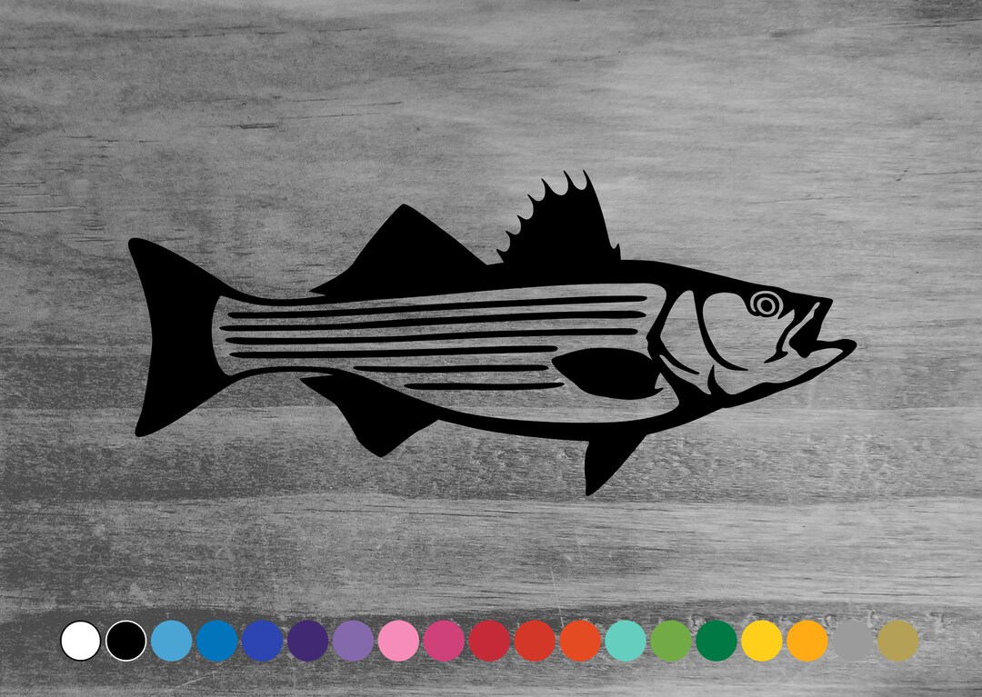 Striped Bass Vinyl Decal Sticker for Car Truck Rv Camper Van Atv Utv ...