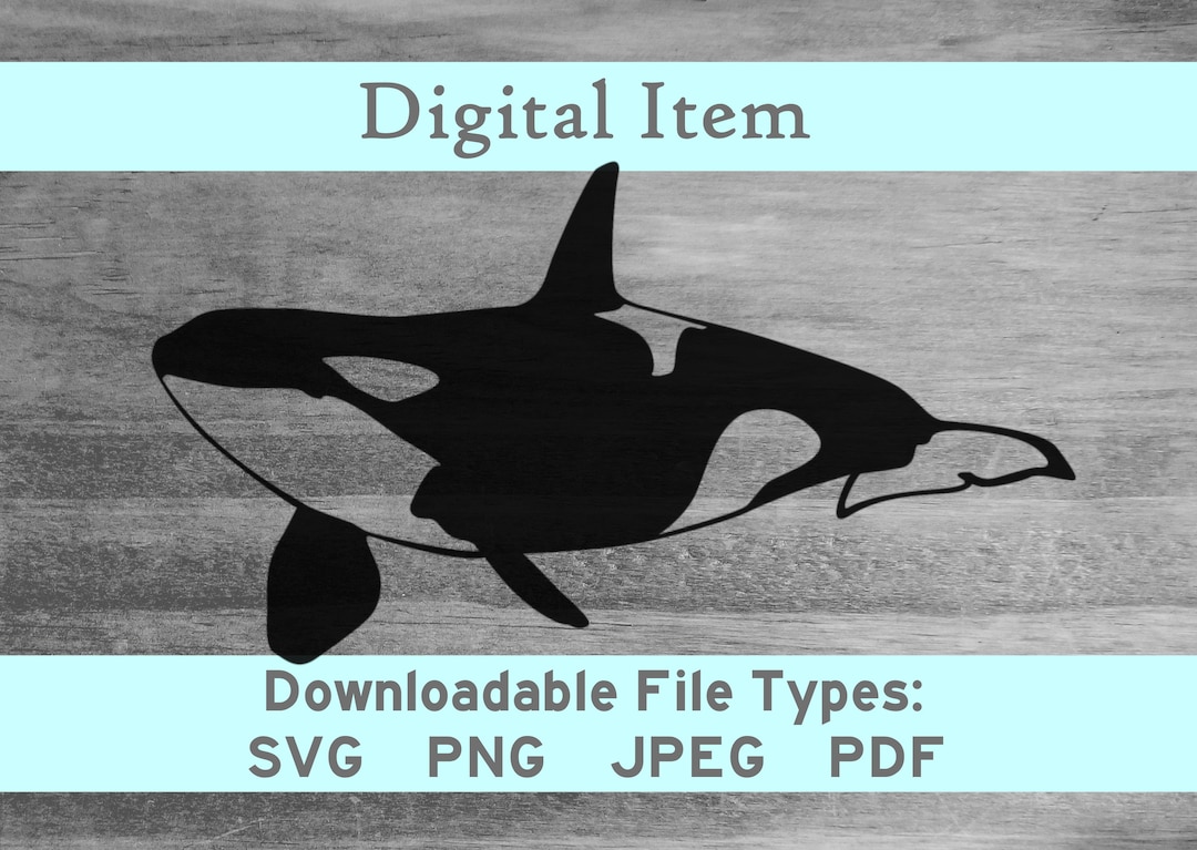 Orca Killer Whale Svg Png Jpeg Pdf Digital File Download -not a ...