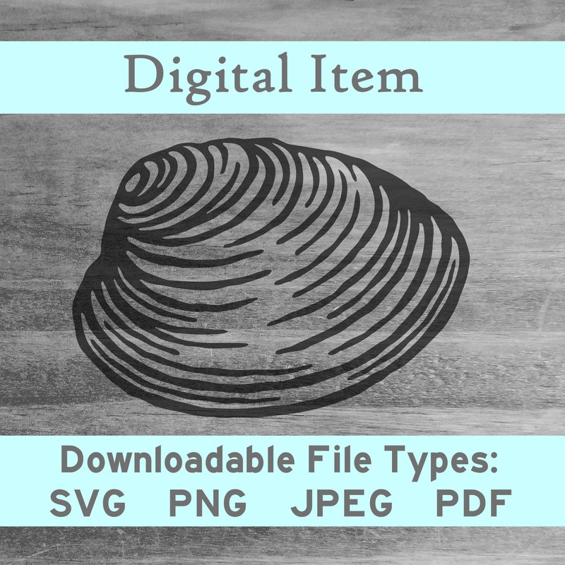 Quahog Shell - Etsy