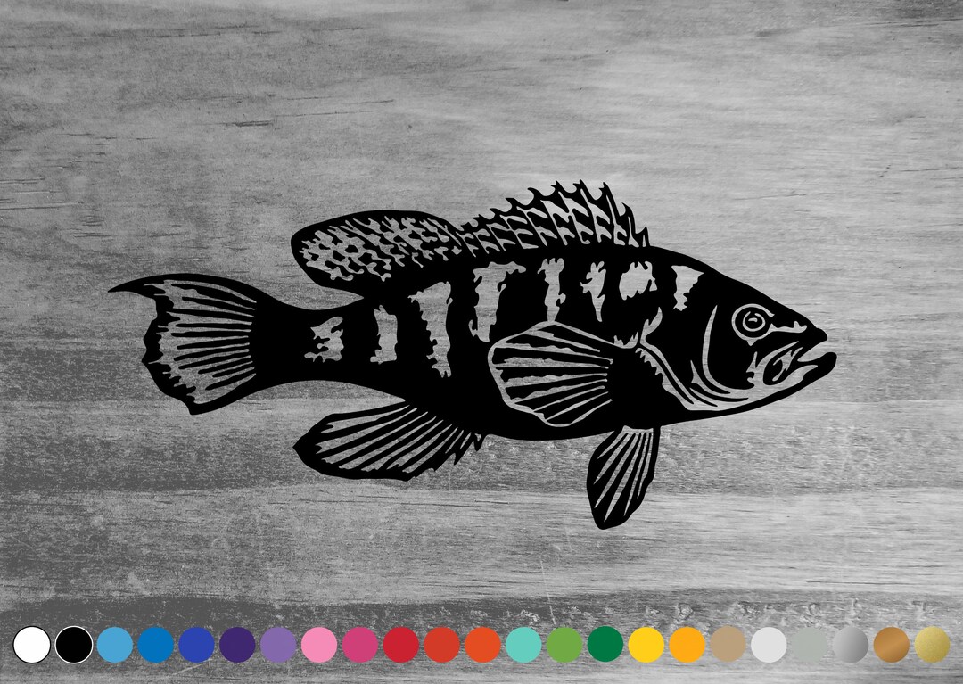 Sea Bass Vinyl Decal Sticker for Car Truck Rv Camper Van Atv Window ...