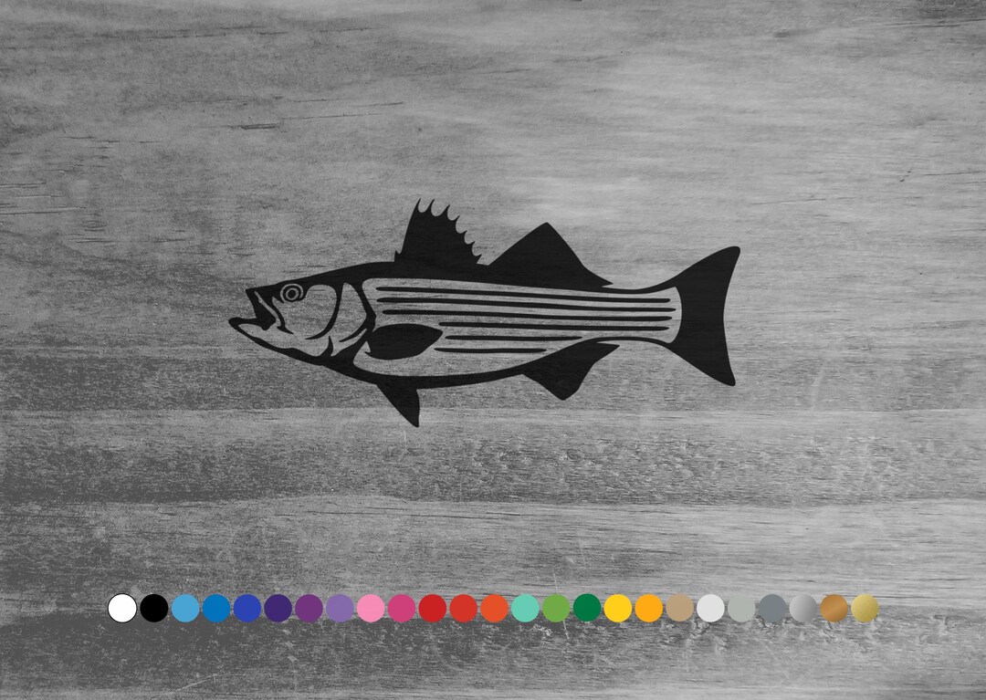 Striped Bass Vinyl Decal Sticker for Car Truck Rv Camper Van Atv Window ...