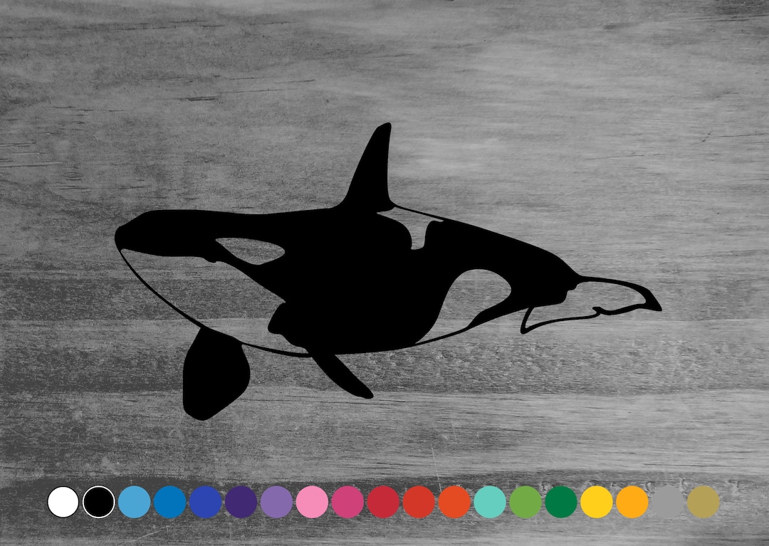 Orca Killer Whale Vinyl Decal Sticker for Car Truck Rv Camper Van Atv ...