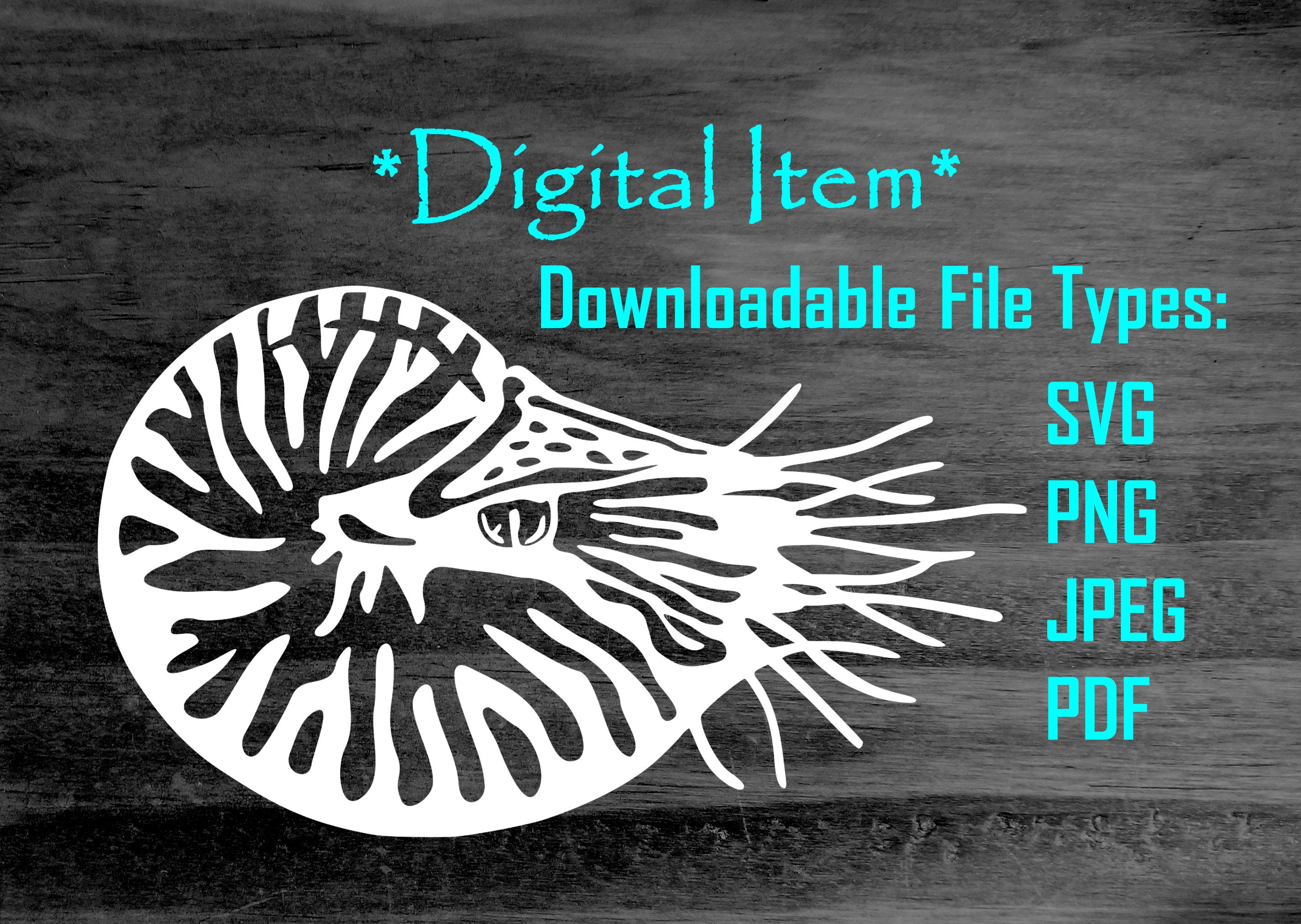 Nautilus Svg Png Jpeg Pdf Digital File Download NOT a | Etsy