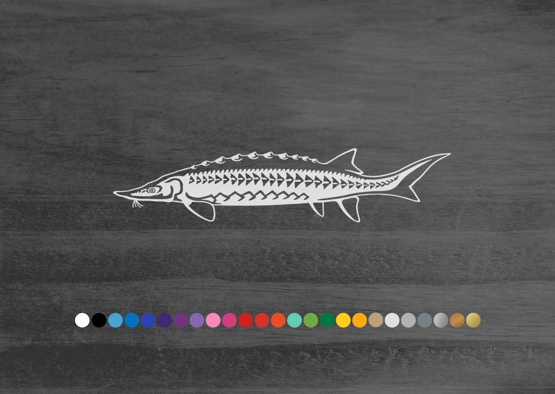 Sturgeon Vinyl Decal Sticker for Car Truck Rv Camper Van Window Bumper ...