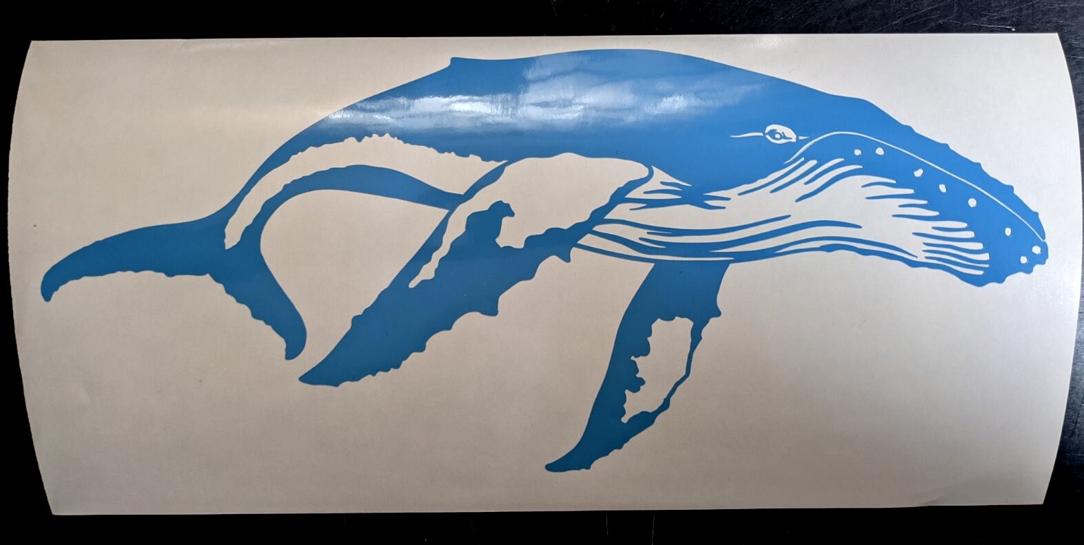 Humpback Whale Vinyl Decal Sticker for Car Truck Boat Kayak - Etsy