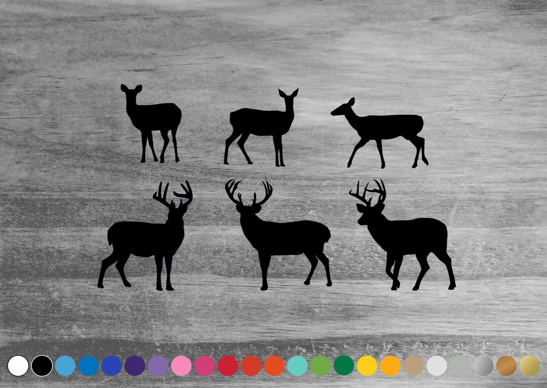 Whitetail Deer (12) Vinyl Decal Sticker for Car Truck Rv Camper Van 4x4 ...