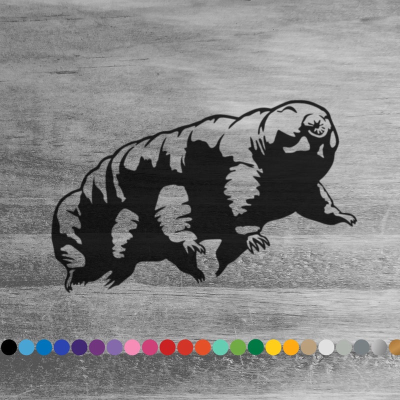 Tardigrade - Etsy