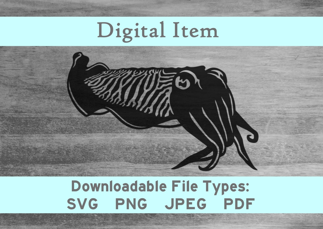 Cuttlefish Svg Png Jpeg Pdf Digital File Download-not a Physical Item ...