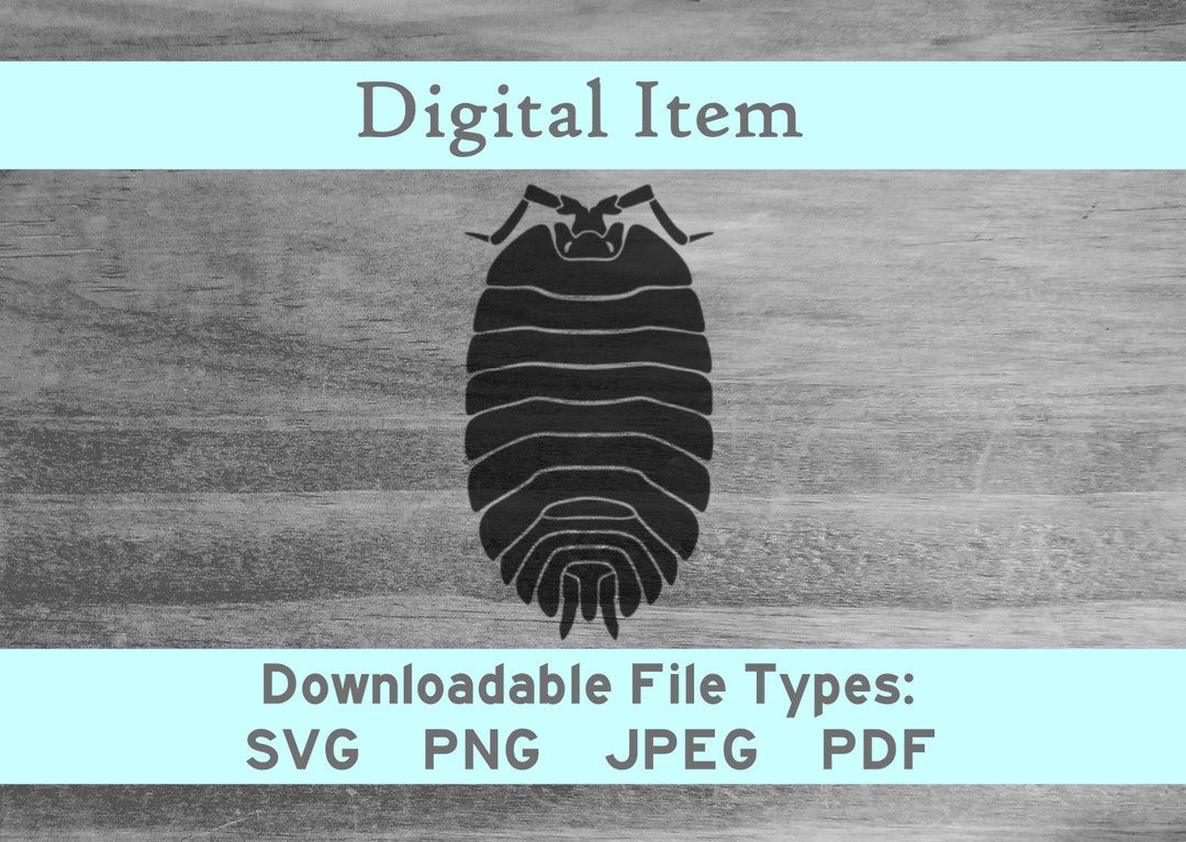 Pillbug Sowbug Svg Png Jpeg Pdf Digital File Download -NOT a Physical ...