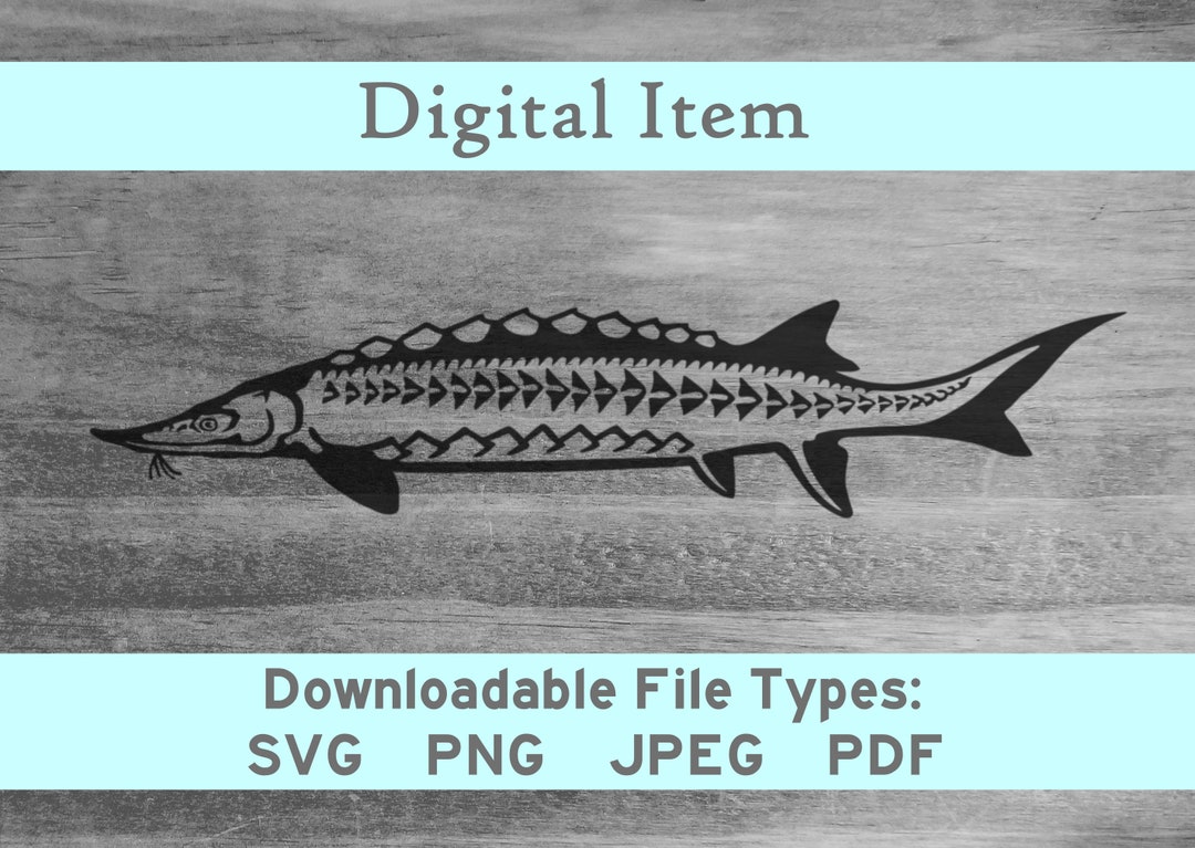 Sturgeon Svg Png Jpeg Pdf Digital File Download -NOT a Physical Item ...