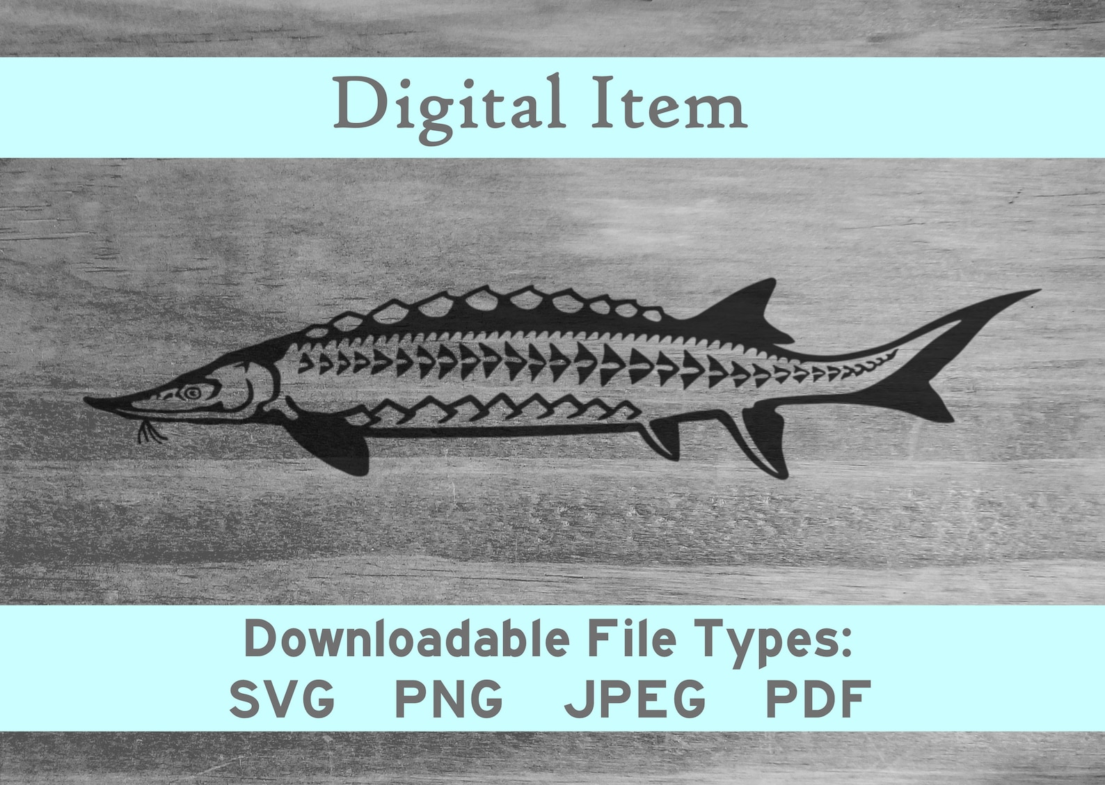 Sturgeon Svg Png Jpeg Pdf Digital File Download-not a Physical - Etsy