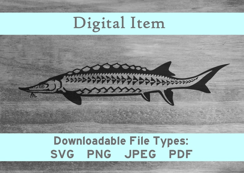 Sturgeon Svg Png Jpeg Pdf Digital File Download-not a Physical - Etsy