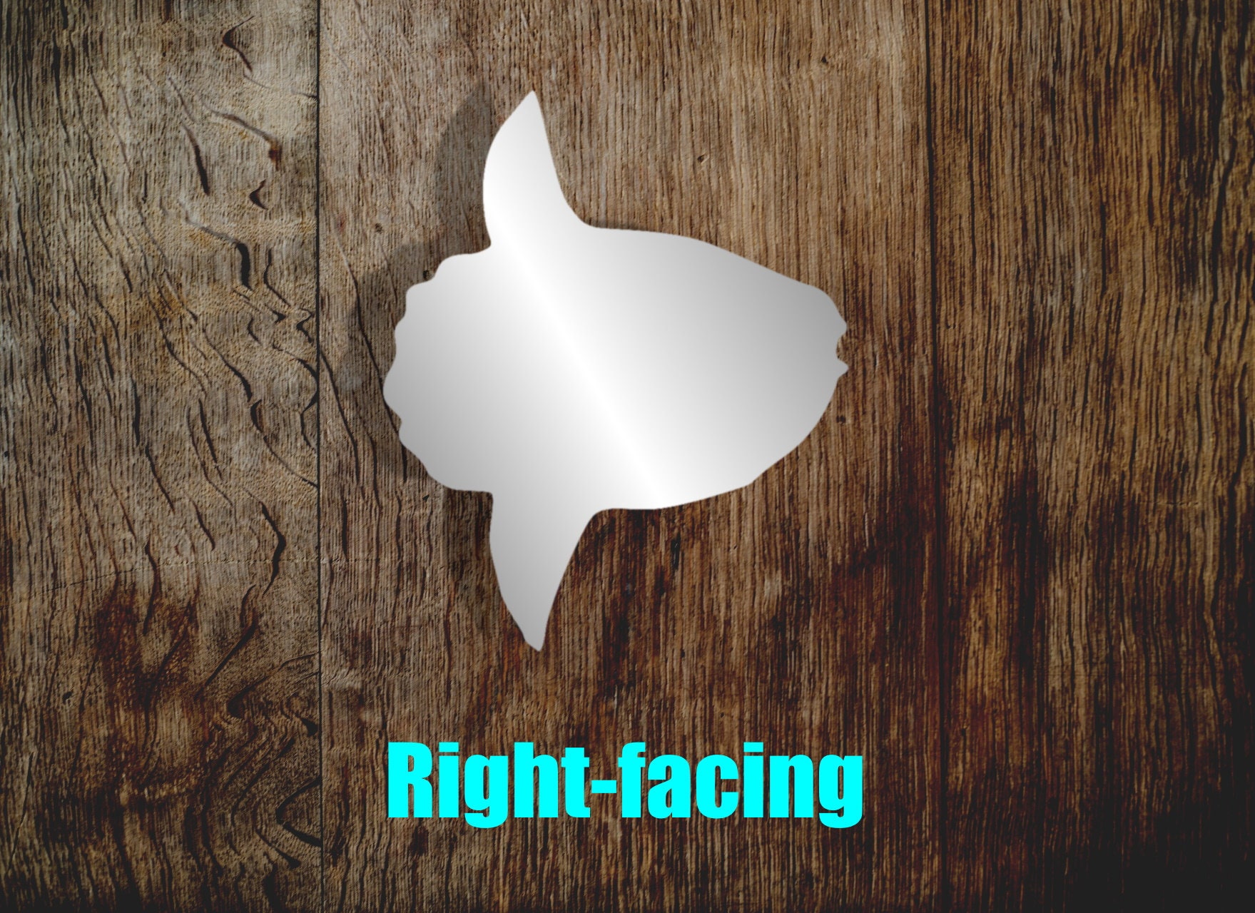 Mola Mola Silhouette Vinyl Decal Sticker for Car Truck Rv - Etsy