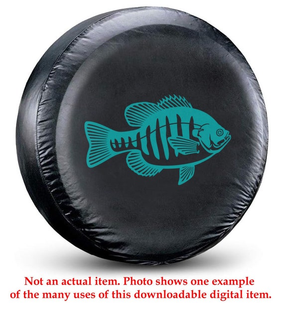 Tires And Rims Clipart Fish