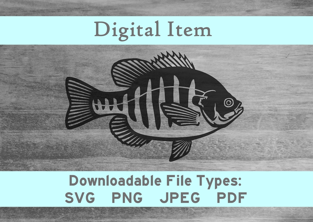 Bluegill Sunfish Svg Png Jpeg Pdf Digital File Download NOT a Physical ...