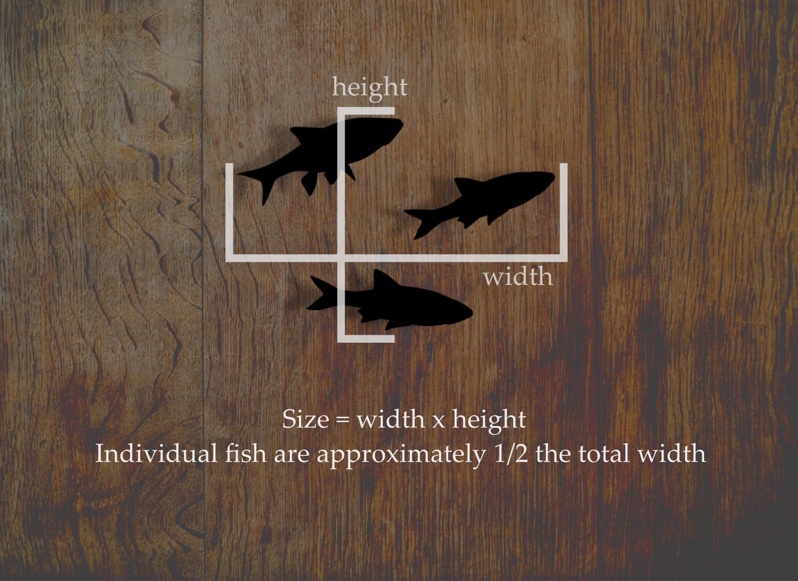 Minnow Vinyl Decal Sticker for Car Truck Boat Rv Camper Van Atv Window ...
