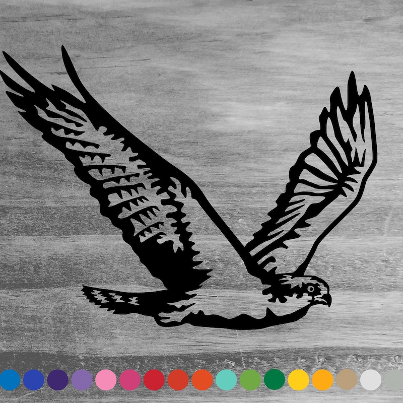 Osprey Image Wall Art - Etsy