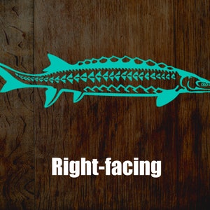 Sturgeon Vinyl Decal Sticker for Car Truck Rv Camper Van Window Bumper ...