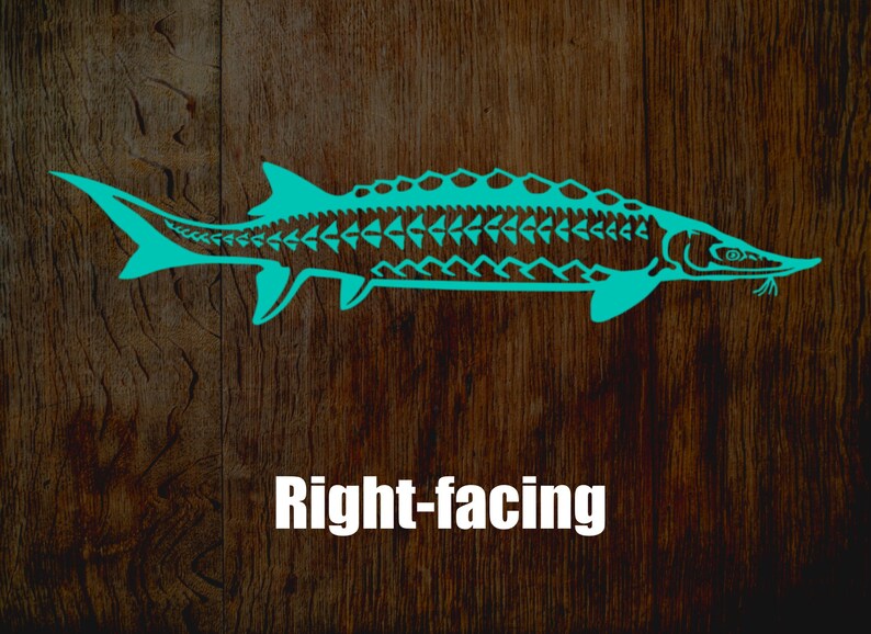 Sturgeon Vinyl Decal Sticker for Car Truck Rv Camper Van Window Bumper ...