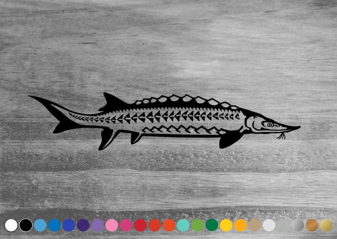 Sturgeon Vinyl Decal Sticker for Car Truck Rv Camper Van Window Bumper ...