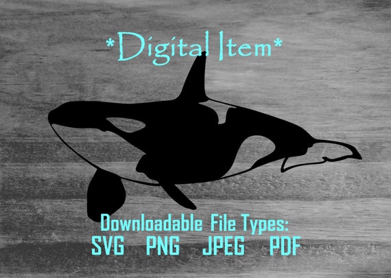 Orca Killer Whale Svg Png Jpeg Pdf Digital File Download not - Etsy