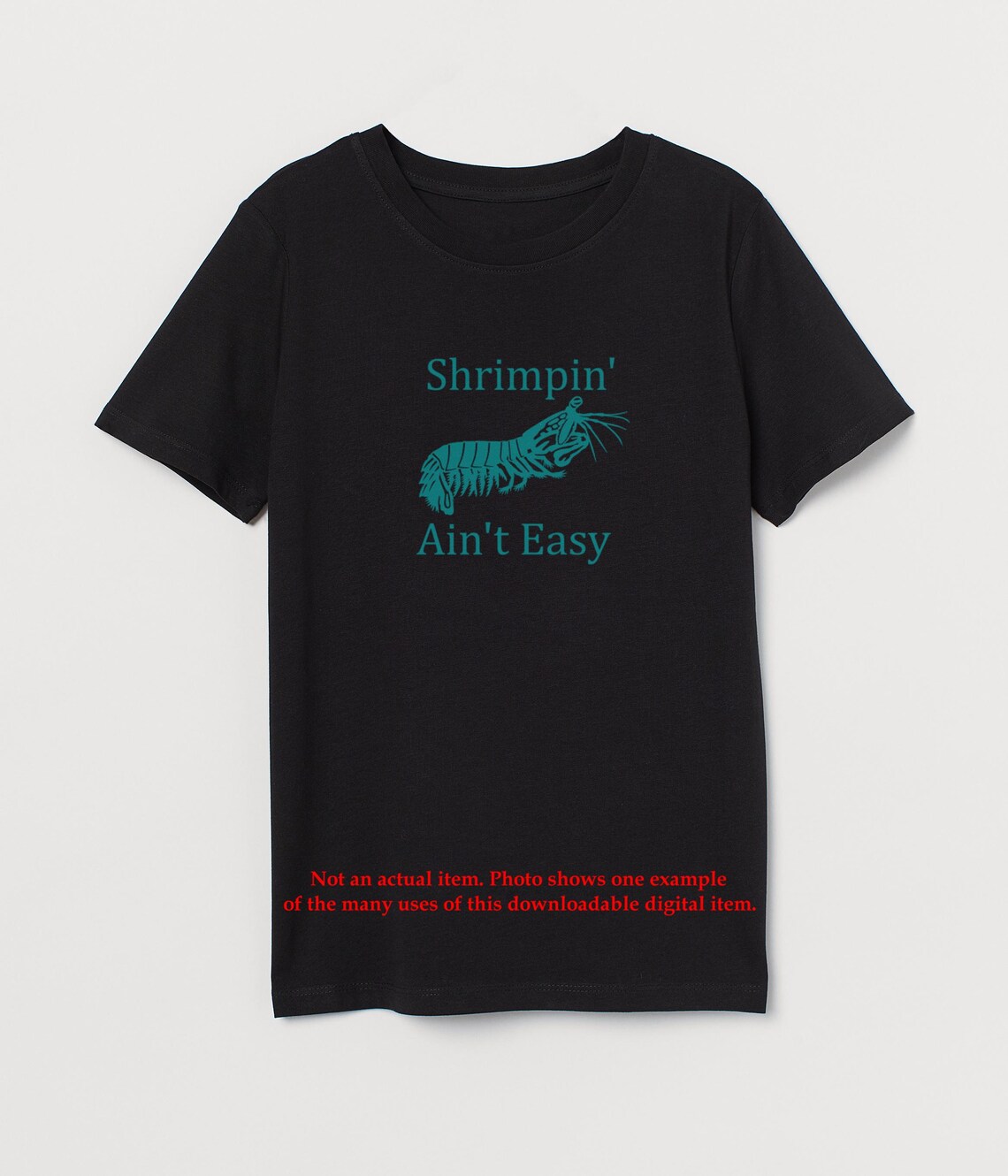 Mantis Shrimp Svg Png Jpeg Dxf Pdf Digital File Download NOT a Physical ...