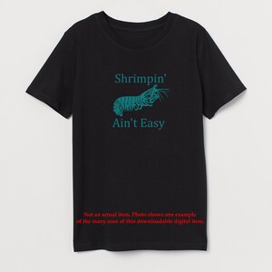 Mantis Shrimp Svg Png Jpeg Dxf Pdf Digital File Download NOT a Physical ...