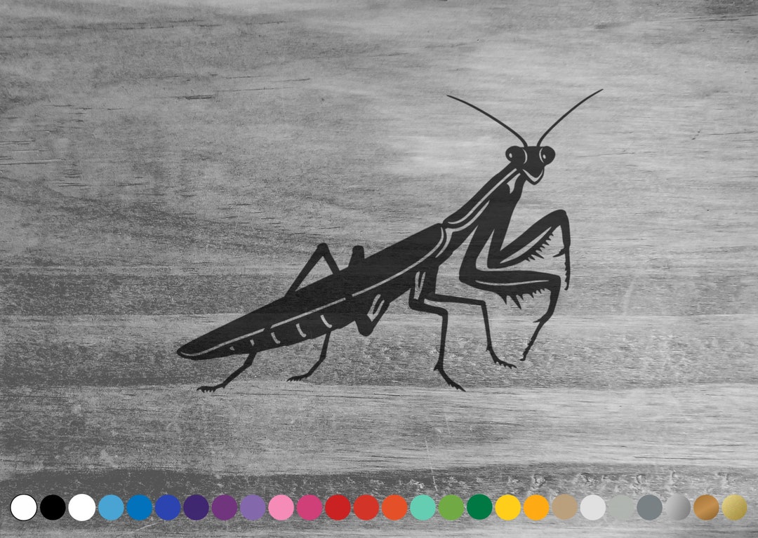 Praying Mantis Vinyl Decal Sticker for Car Truck Rv Camper Van Window ...