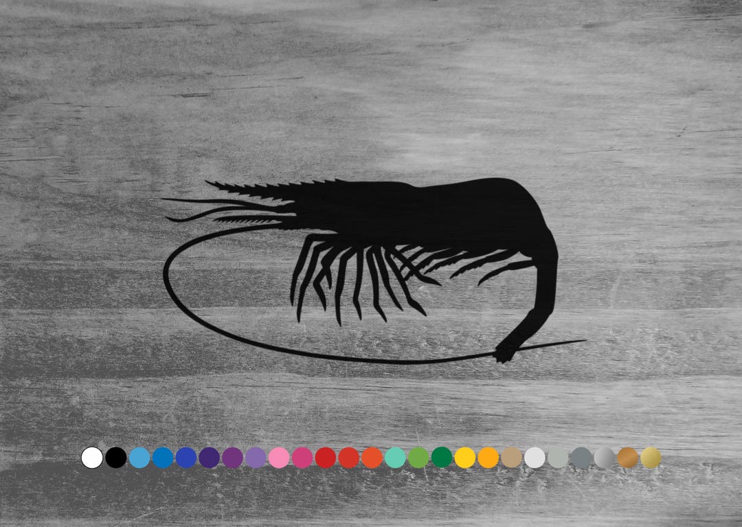 Shrimp Vinyl Decal Sticker for Car Truck Rv Camper Van Atv Window ...