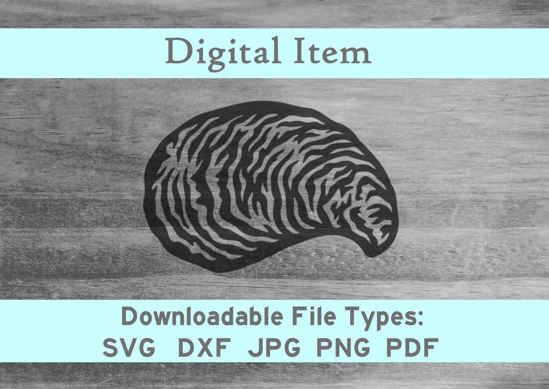 Oyster Shell Svg Dxf Png Jpeg Pdf Digital File Download -NOT a Physical ...