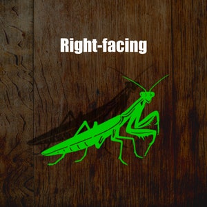 Praying Mantis Vinyl Decal Sticker for Car Truck Rv Camper Van Window ...