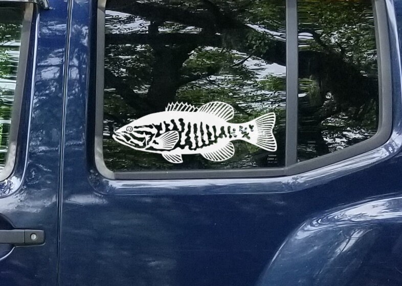Smallmouth Bass Vinyl Decal Sticker for Car Truck Suv Rv Van - Etsy